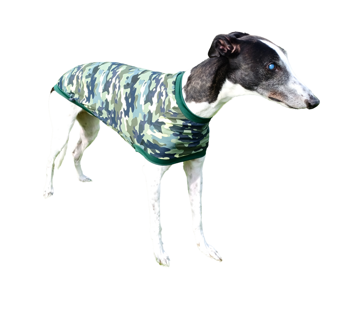 Greyhound T-Shirts – Greyt-Stuff NZ